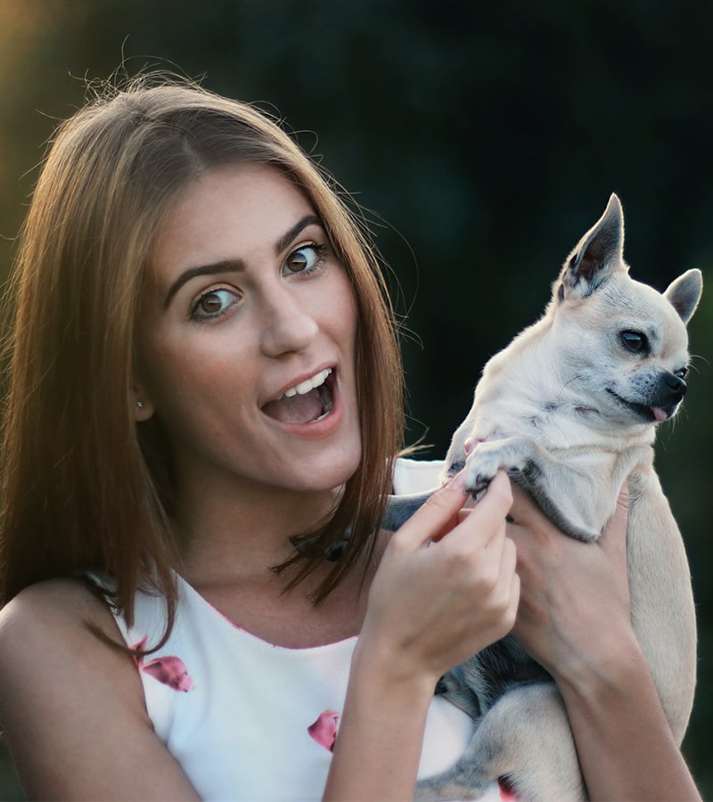 Perro Feliz - Veterinaria